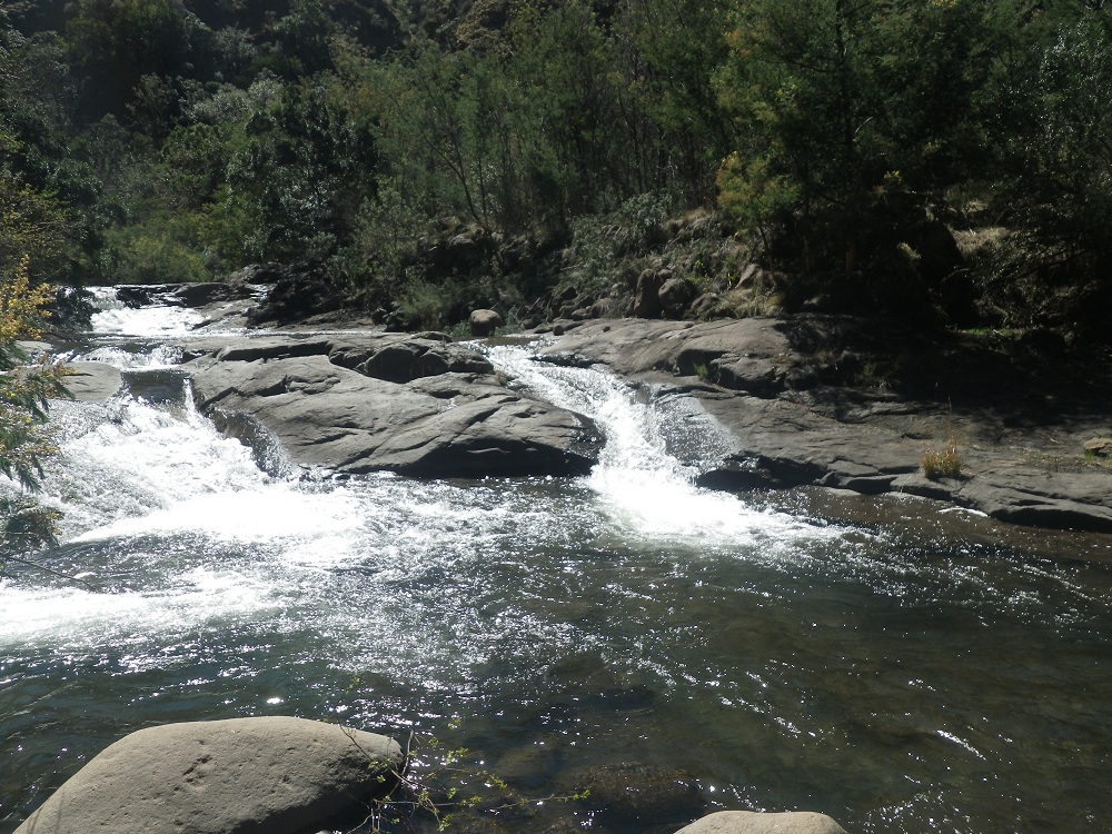 About | Umzimvubu Catchment Partnership